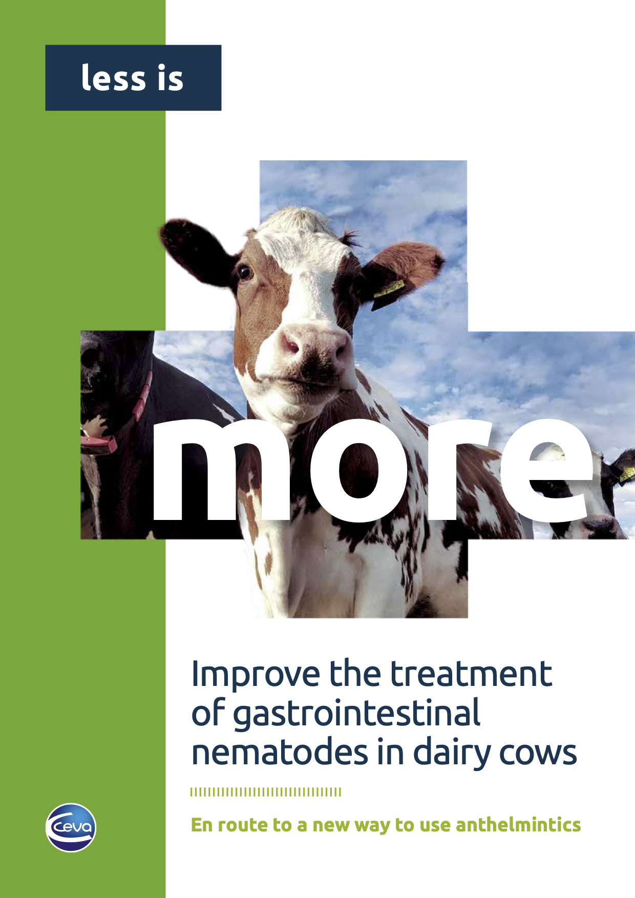 Parasites in cattle - nematodes in daiy cows