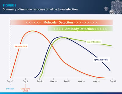 Fundamentals of bovine immunity