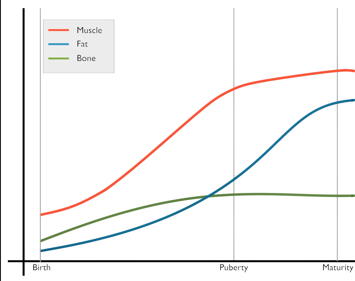 Optimizing Cattle Feed: Essential Nutrition Requirements for Beef Cattle