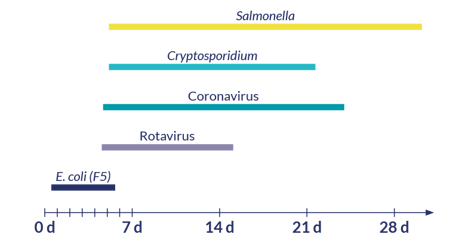 Scours in calves: which are the main pathogens behind?