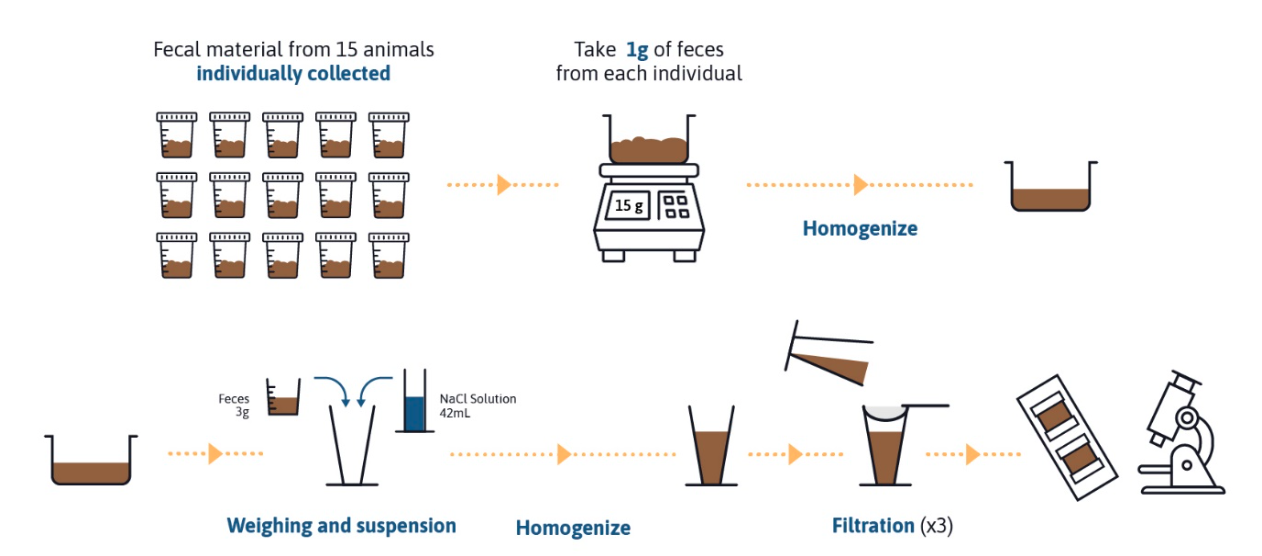 Why guess when you can test! A guide to evaluating anthelminthic ...