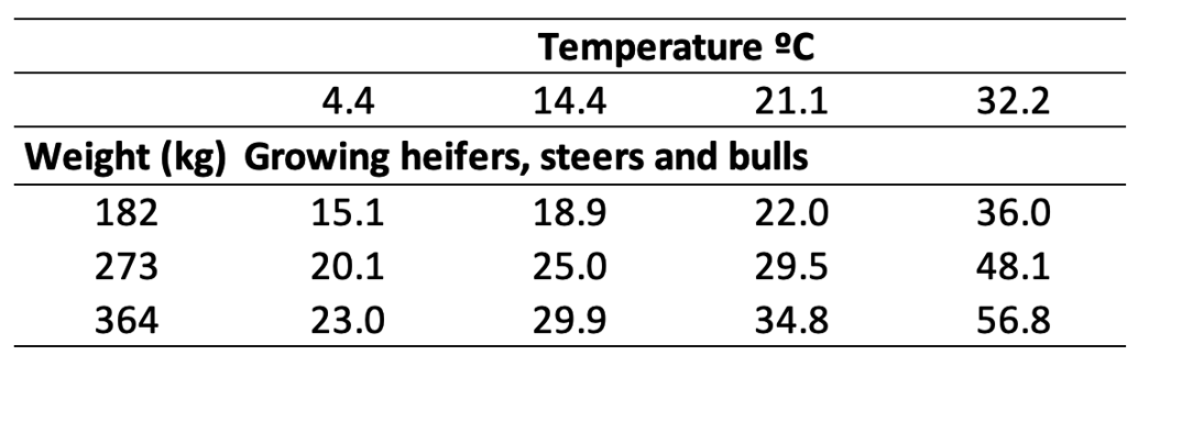 Optimizing Cattle Feed: Essential Nutrition Requirements for Beef Cattle