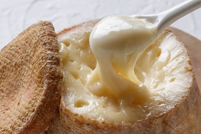 ¿Conoces los beneficios de la leche de oveja?
