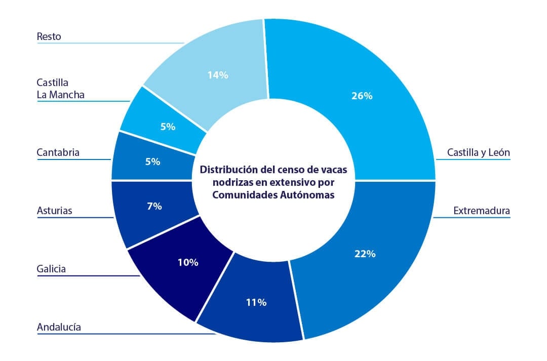 La explotación ganadera: una actividad económica ligada al mundo rural