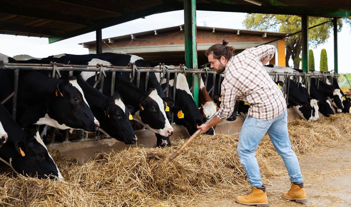 Five Key Farm Management Tips for Starting Your New Farm