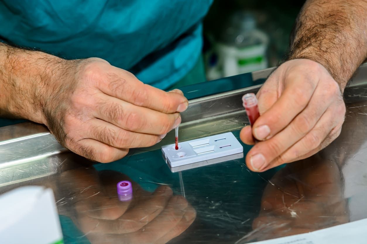 Pregnancy testing in cattle! Which options are available?