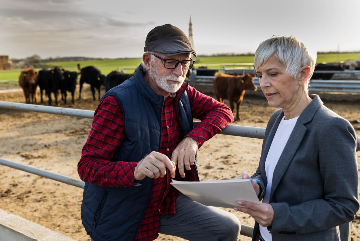 Livestock Insurance: What do you need to know