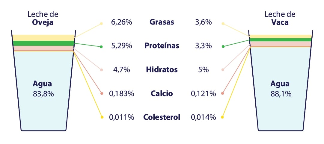 Leche De Oveja Más Nutritiva Y Saludable De Lo Que Imaginas