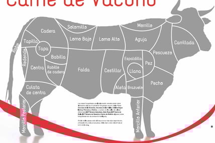 Partes de la vaca: estos son los mejores cortes