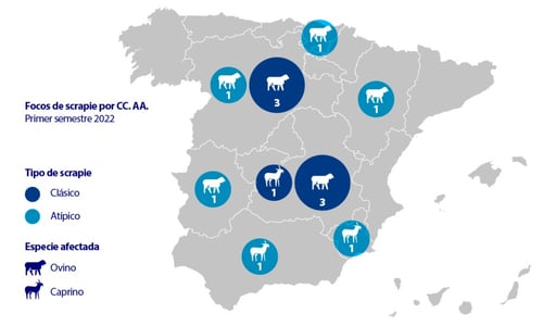 La influencia del scrapie en la política alimentaria del siglo XXI