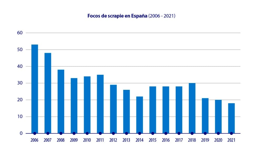 La influencia del scrapie en la política alimentaria del siglo XXI