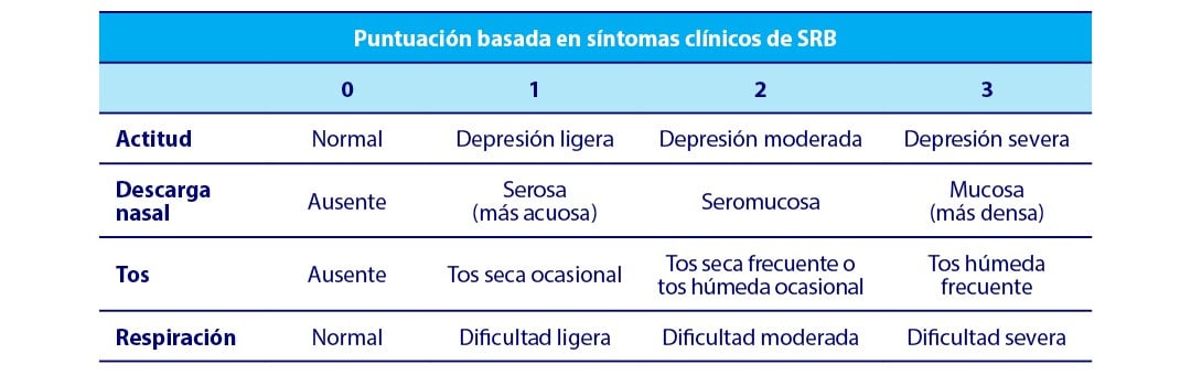 ¿Cómo tratamos el síndrome respiratorio bovino en terneros de cebo?