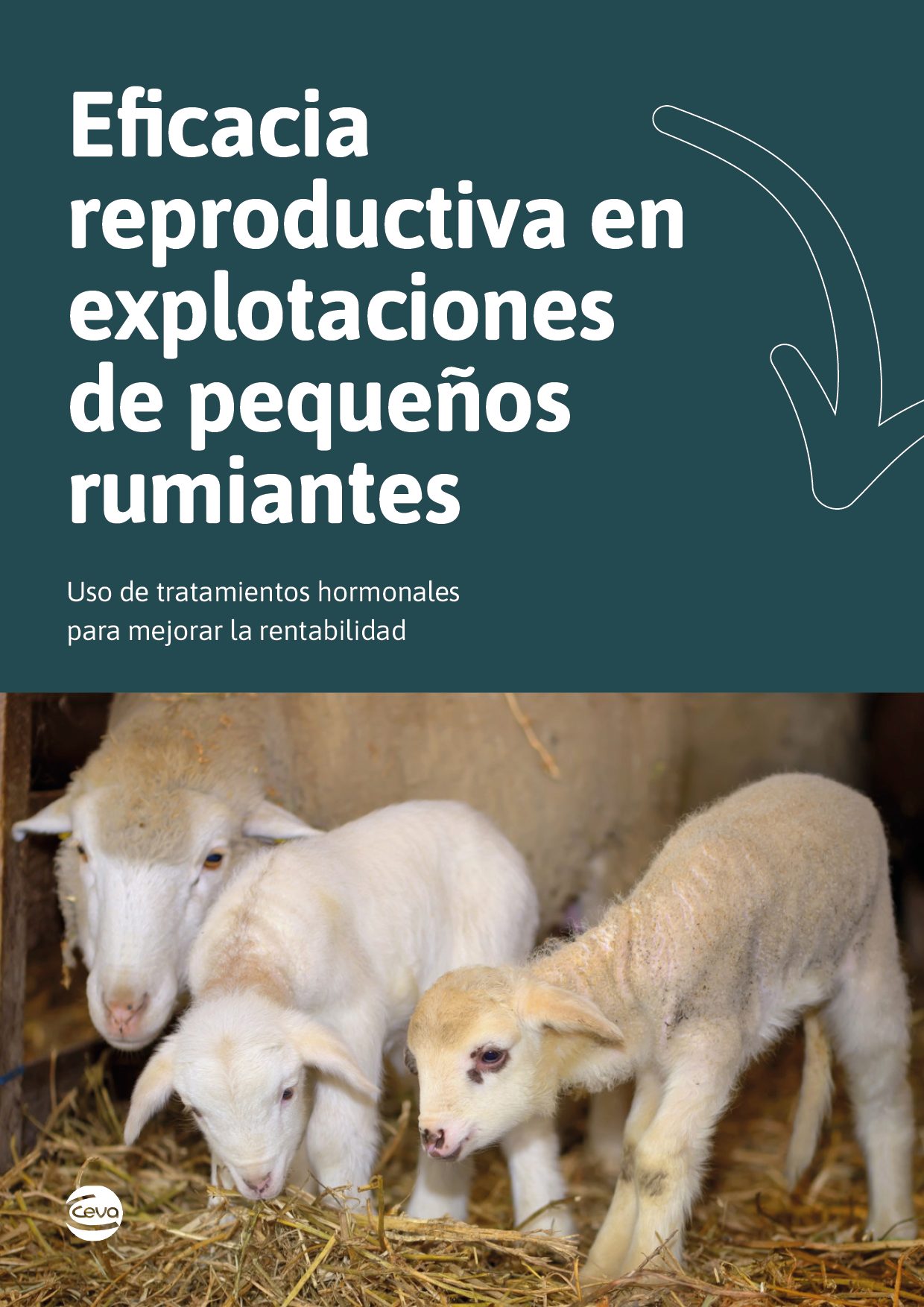 3 sencillos pasos hacia la rentabilidad